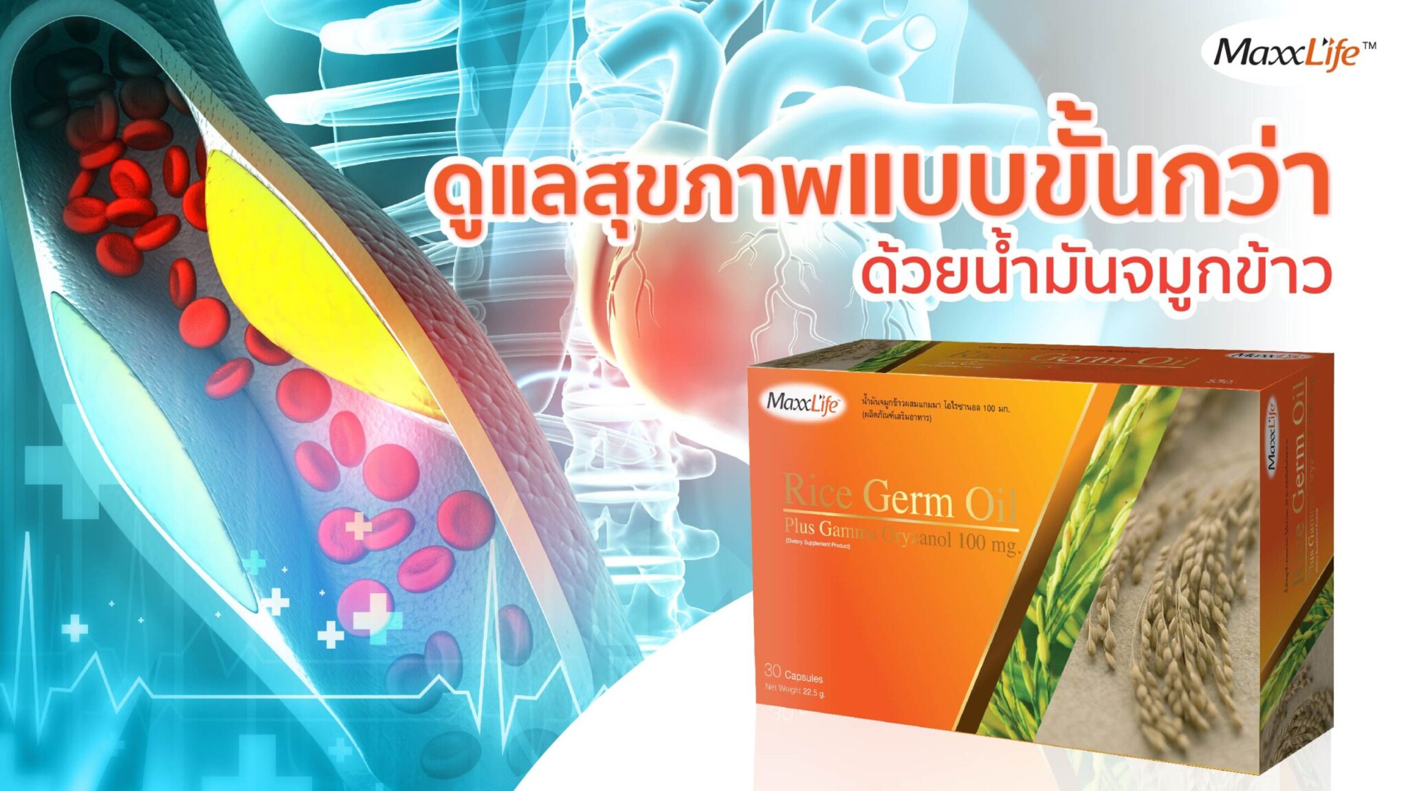 ดูแลสุขภาพแบบขั้นกว่า ด้วย น้ำมันจมูกข้าว - MAXXLIFETHAILAND